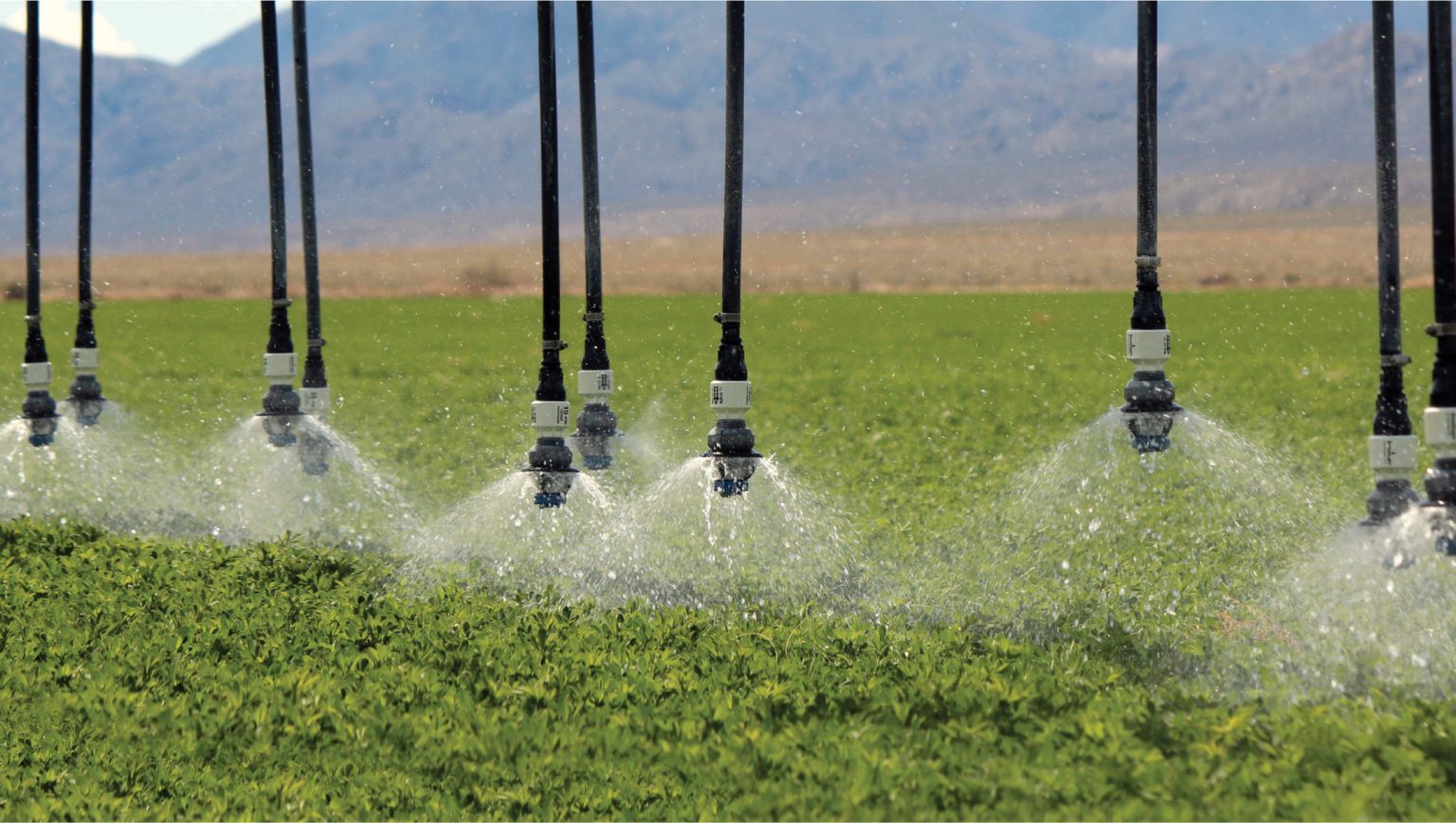 Trgovina i distribucija - Delta Agrar