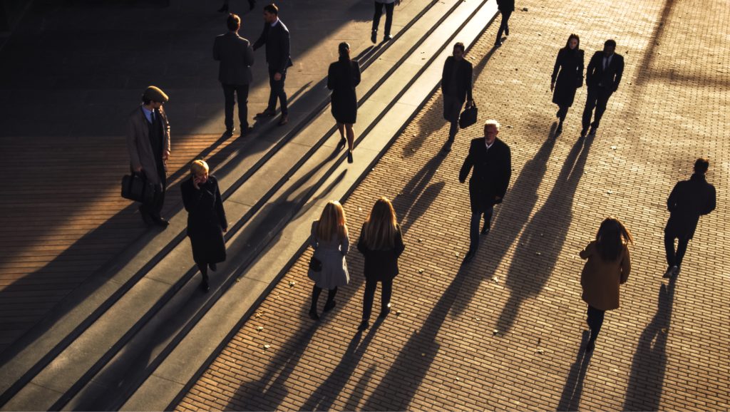 Menadžment - Delta Agrar